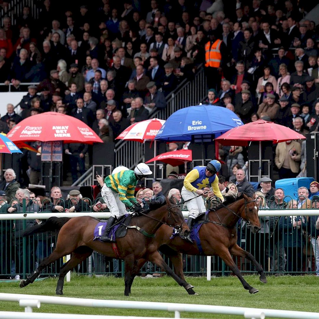 Race & Stay | Official Punchestown Racing Tours and Packages to Suit ...